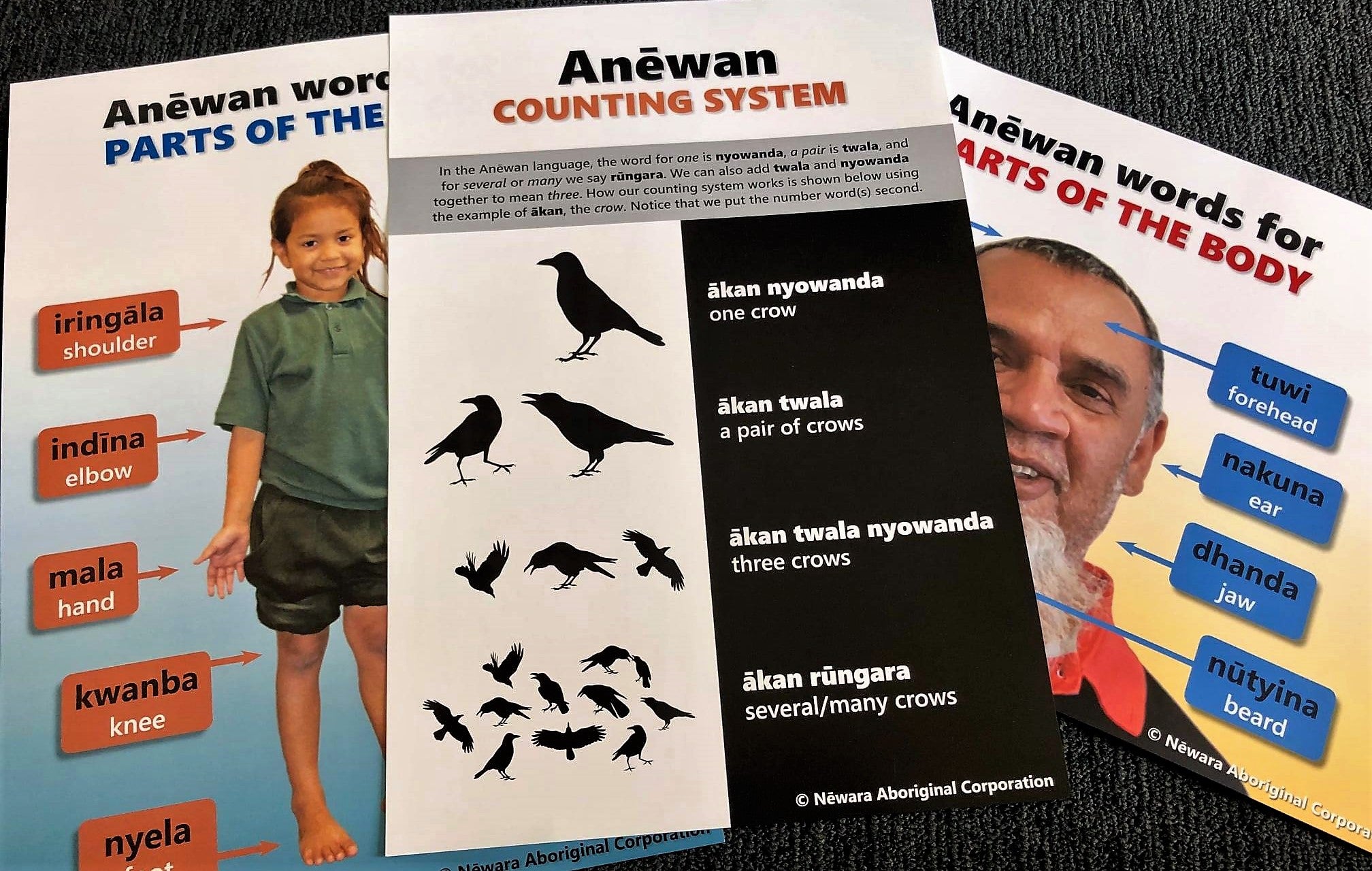 Home | Nēwara Aboriginal Corporation